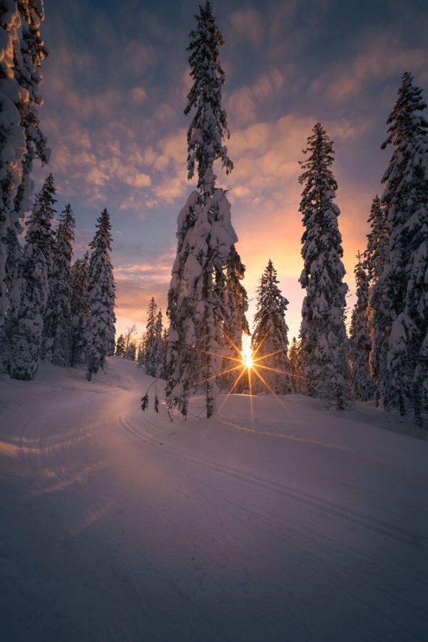 How to Create Sunstars for Your Landscape Photos – NiSi Filters and ...